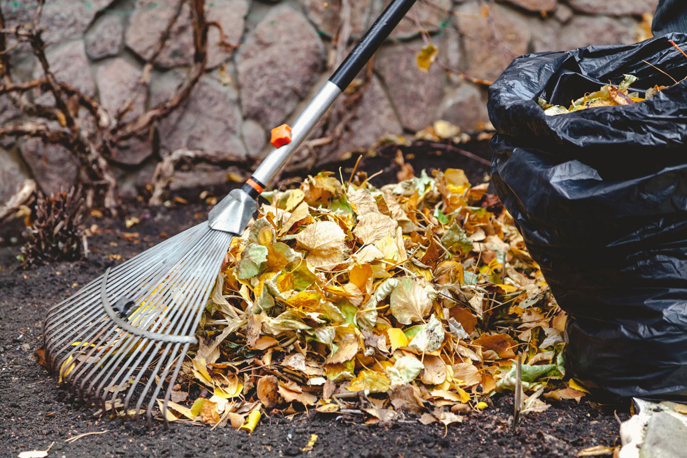 Professional Leaf Collection – Greenside Maintenance